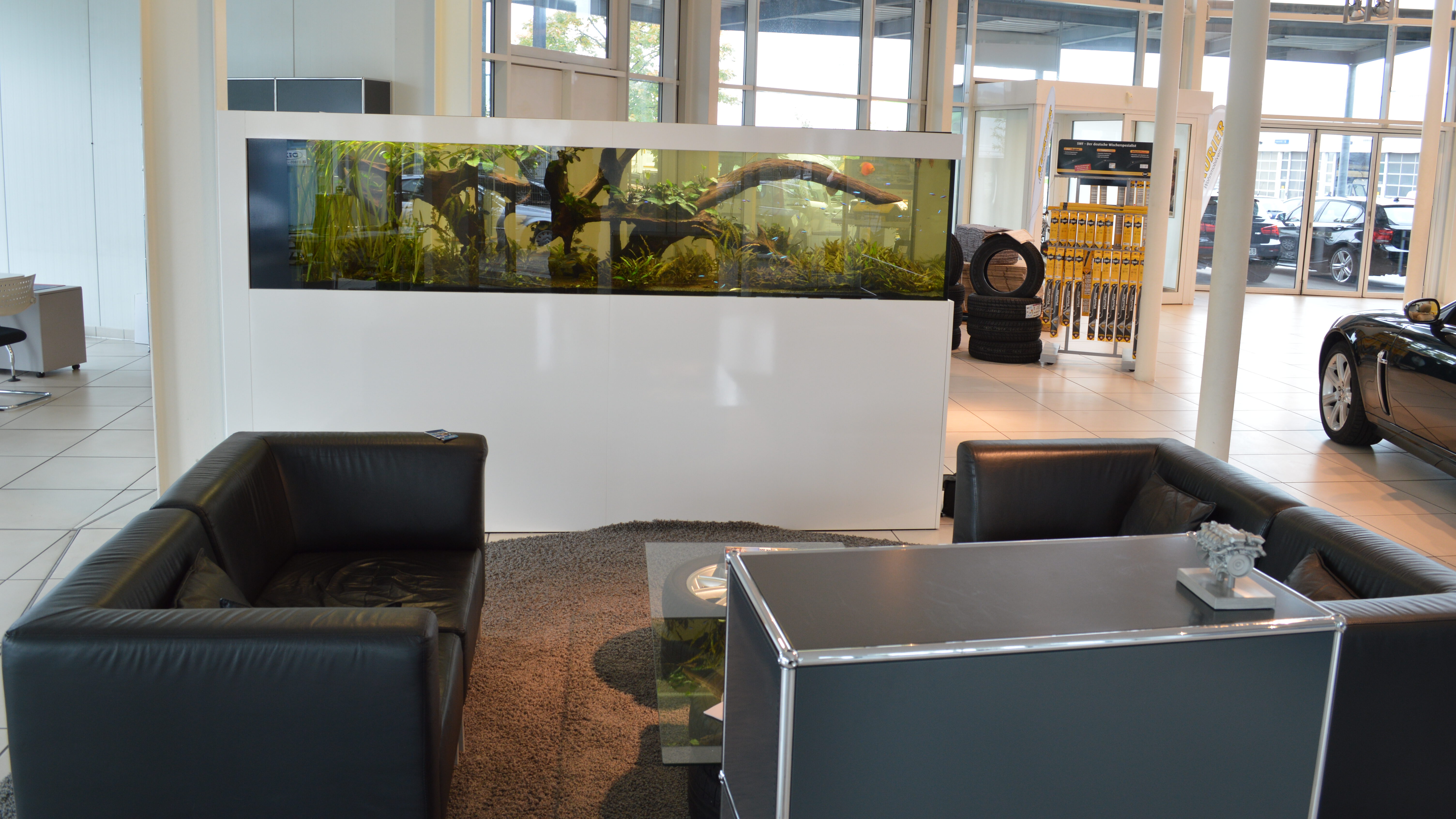 Aquarium im Autohaus - Der Teichservice